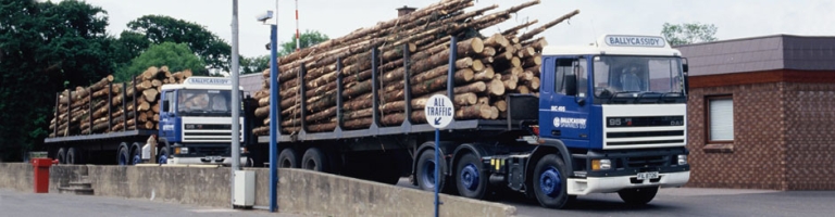 Our History – Balcas.com